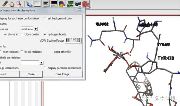 小果带你Autodock快速检查vina对接结果中是否生成氢键6 - 知乎