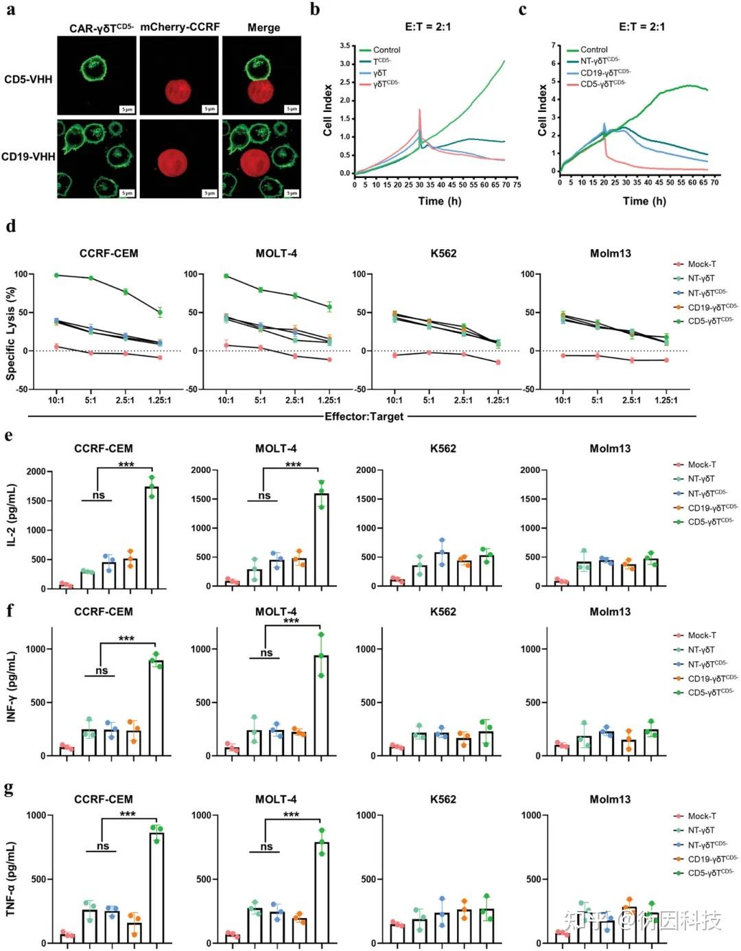 敲除CD5，并利用mRNA工程化的CD5-CAR-γδT细胞，用于T-ALL免疫治疗 - 知乎