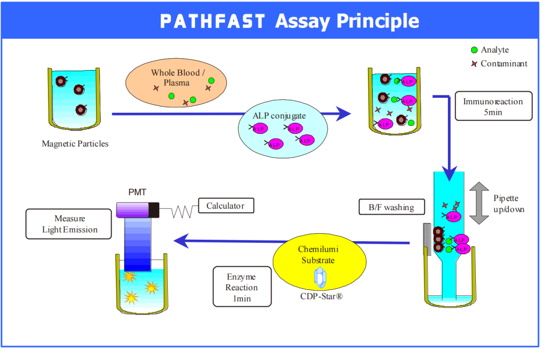 IVD小发光，谁更强？ - 知乎
