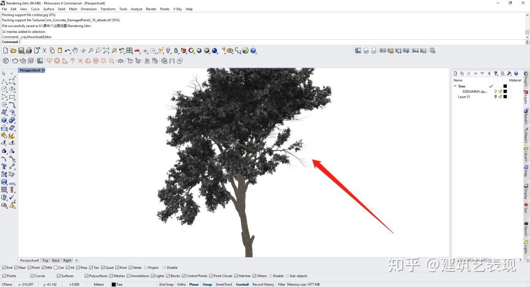 在Rhino中做一大片森林 - 知乎