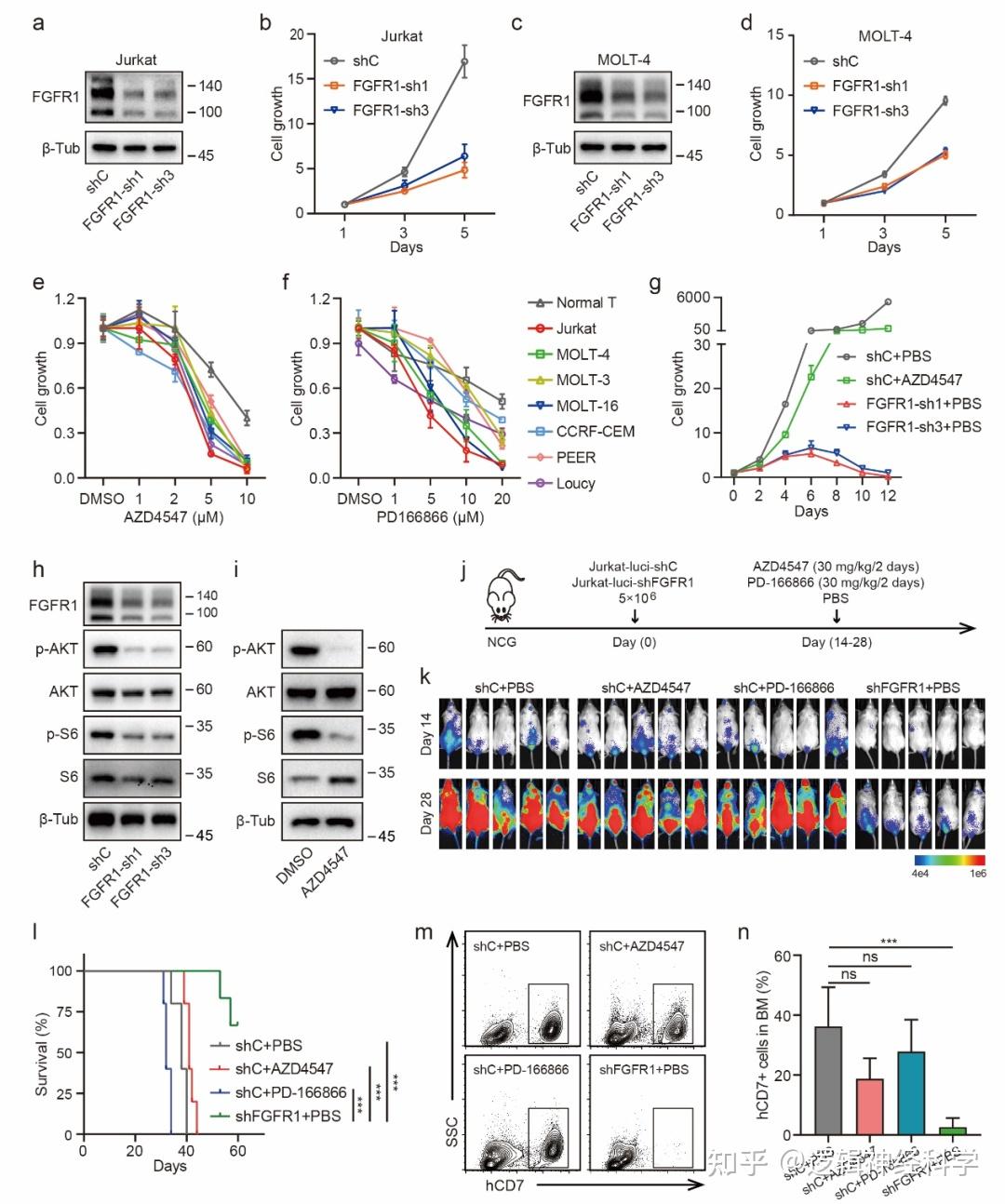 APS｜武汉科技大学祝海川/张同存团队揭示FGFR1抑制剂耐药新机制 - 知乎