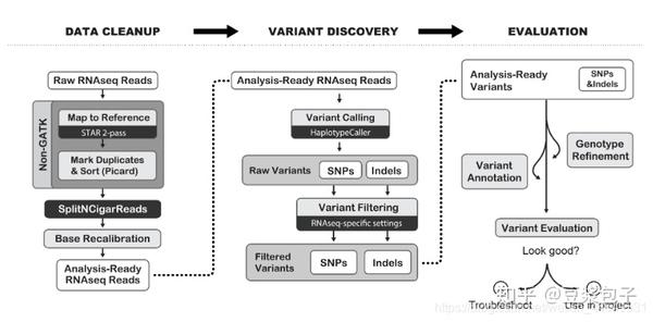 GATK RNA-Seq Snps Indel 分析流程 - 知乎