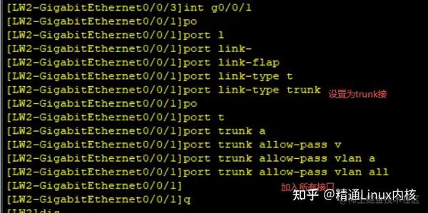 学习VLAN一篇就够（不信你看） - 知乎