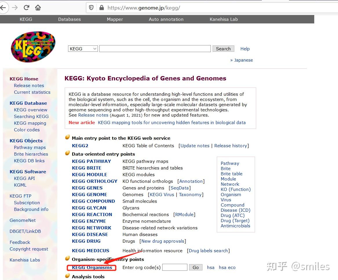 下载KEGG所有通路 - 知乎