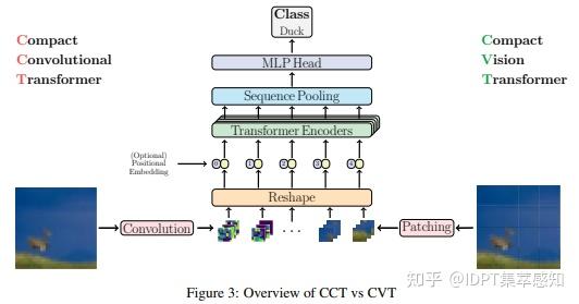 Vision Transformer发展现状 - 知乎