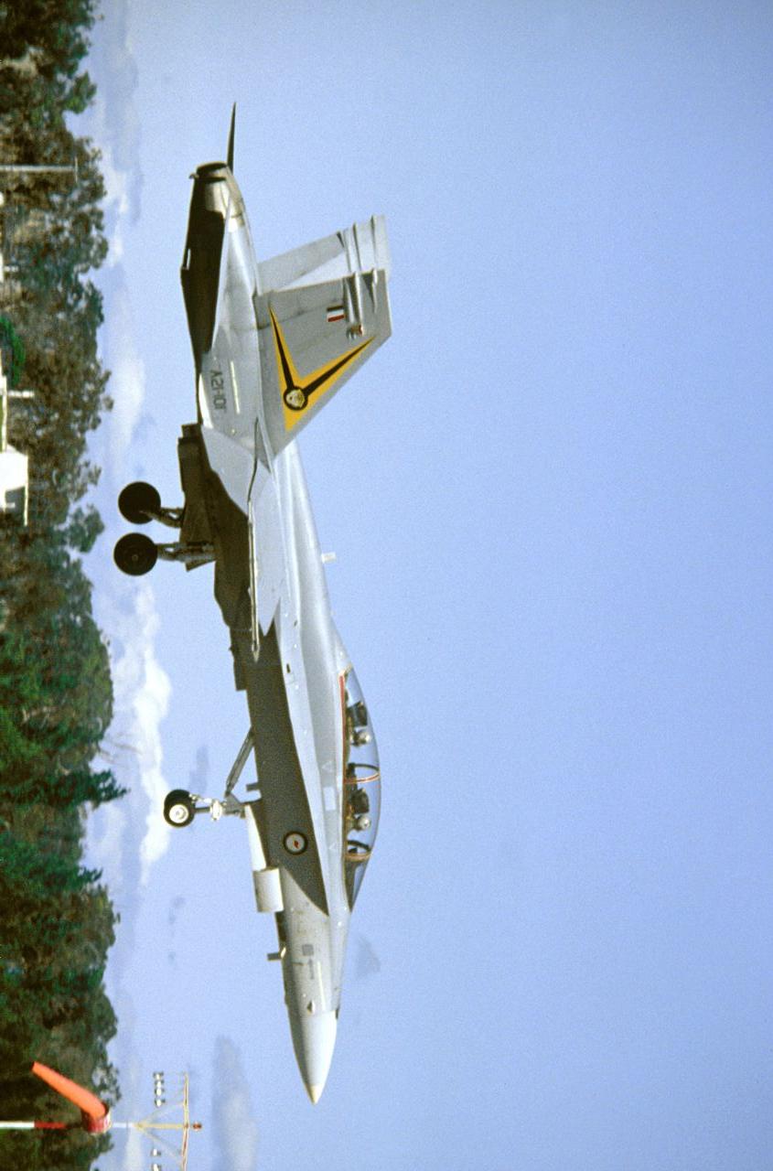 F/A-18大黄蜂式战斗攻击机 - 知乎