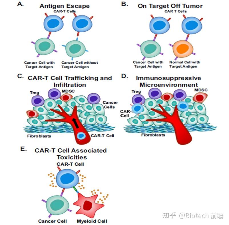 CAR-T与iPSC联手丨大规模生产通用型CAR-T降低成本 - 知乎