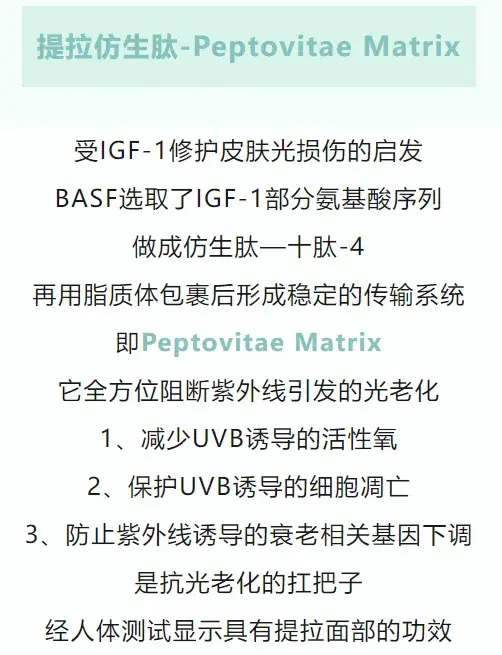 国际原料巨头①--BASF巴斯夫，世界最大化工厂 - 知乎
