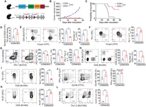 Nature Methods增强子介导基因调控网络分析利器SCENIC+ - 知乎