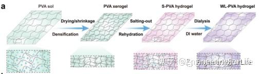 《Small》：脱水收缩与盐析作用协同结晶助PVA水凝胶更滑更强更韧 - 知乎
