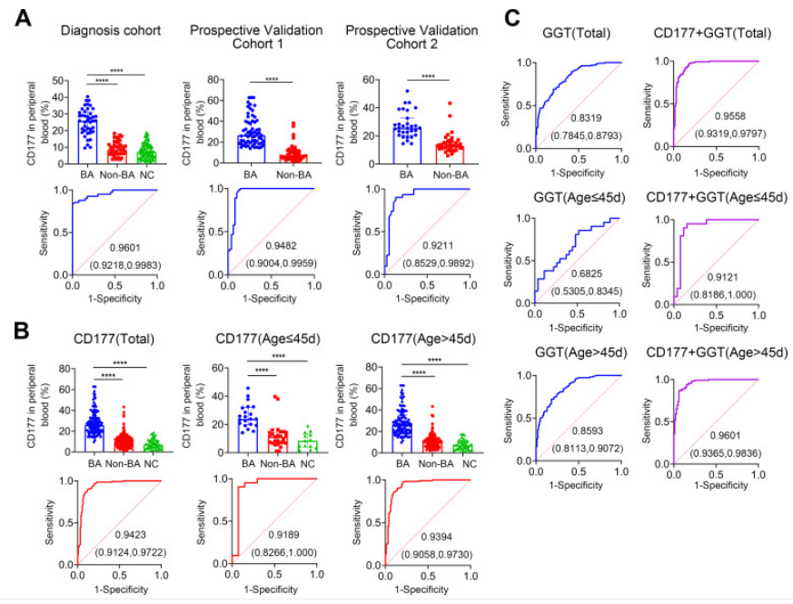 J Hepatol（IF=30）| 2篇！广州医科大学发现外周血CD177+细胞作为胆道闭锁的早期诊断标志物 - 知乎