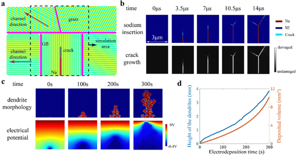 黄建宇最新EES：全固态钠电池中的枝晶生长动力学！ - 知乎