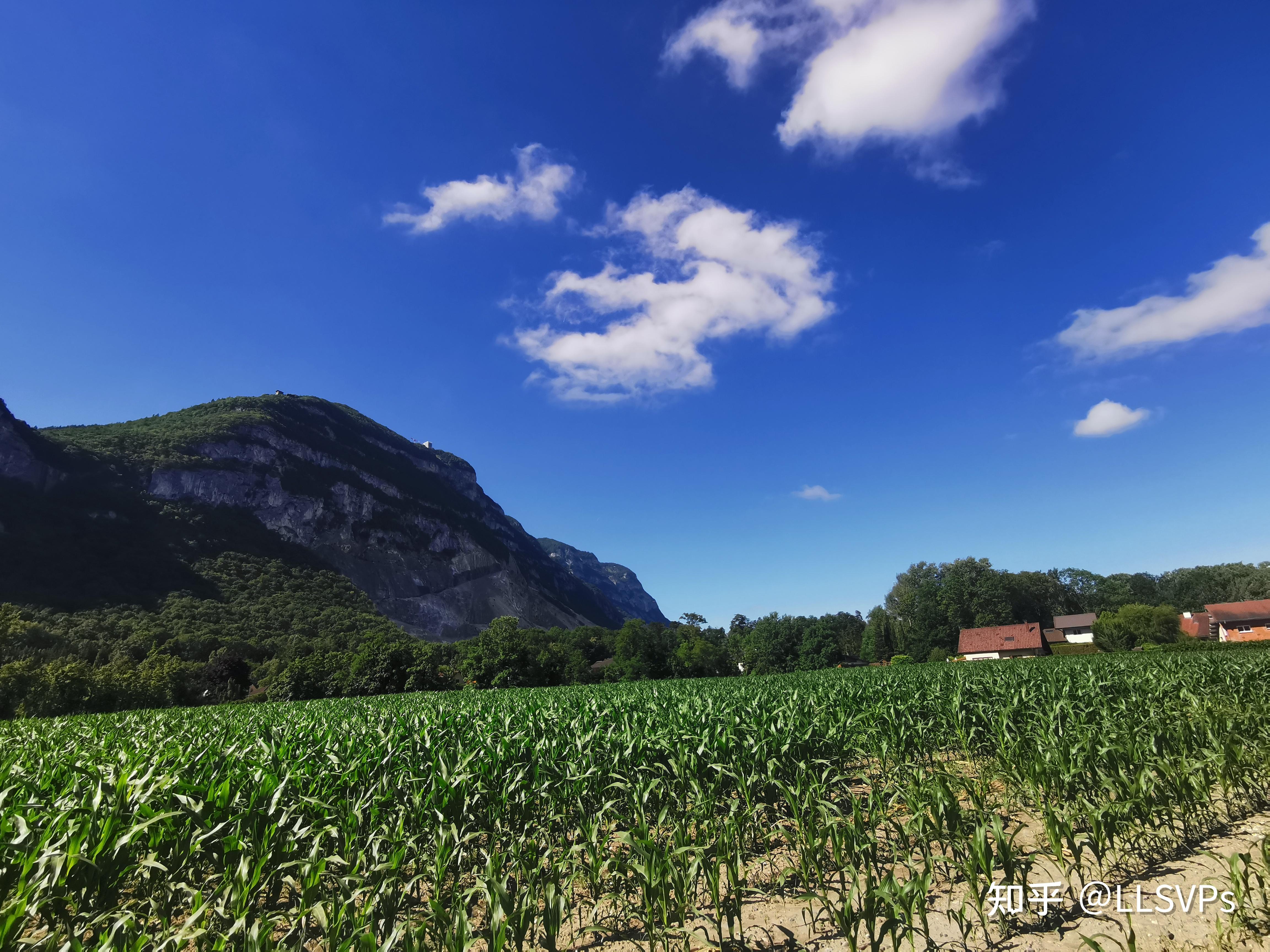 CSC瑞士访学办事指南 - 知乎