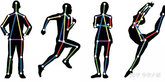 在 Python 中使用机器学习进行人体姿势估计 - 知乎