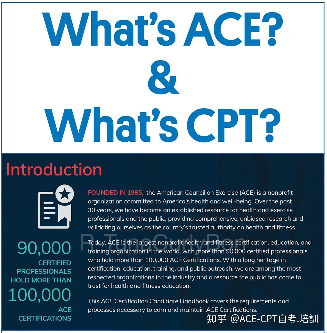 ACE-CPT國際私人教練考試大綱 - 知乎