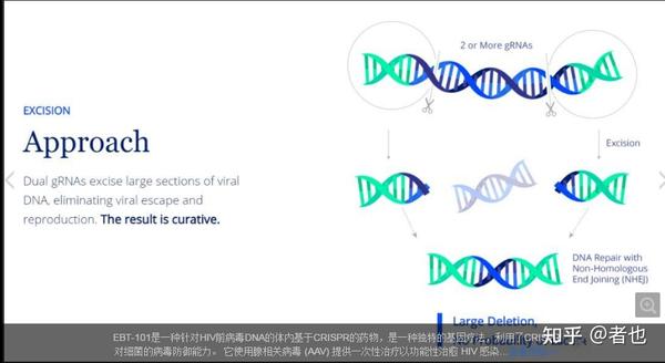 EBT-101作为一种潜在的HIV治愈疗法，效果如何？ - 知乎