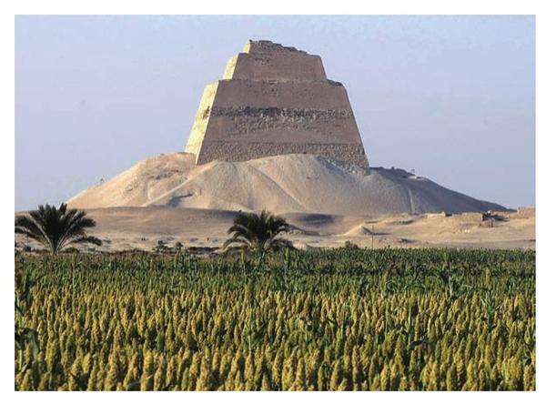 探索|金字塔是如何“进化”而来的？ - 知乎