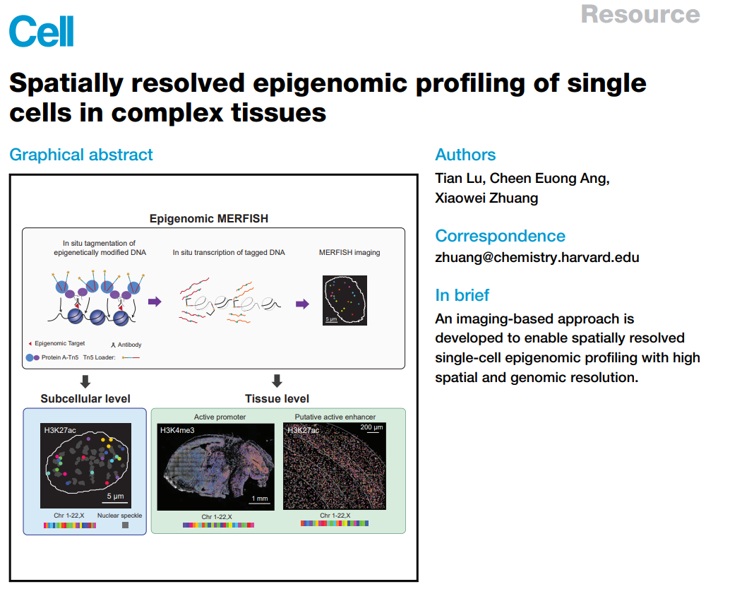 Cell | 复杂组织的单细胞空间表观基因组学成像 - 知乎