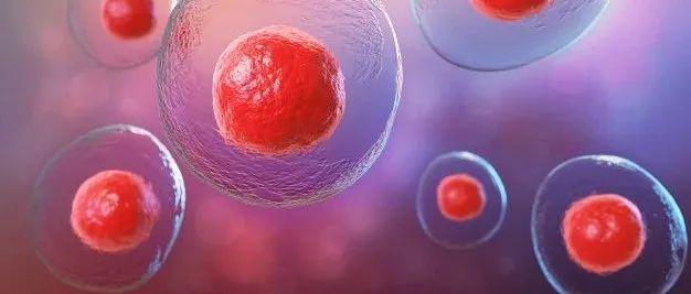 全球首个CD3/CD19/CD20三抗产品获批临试！ - 知乎