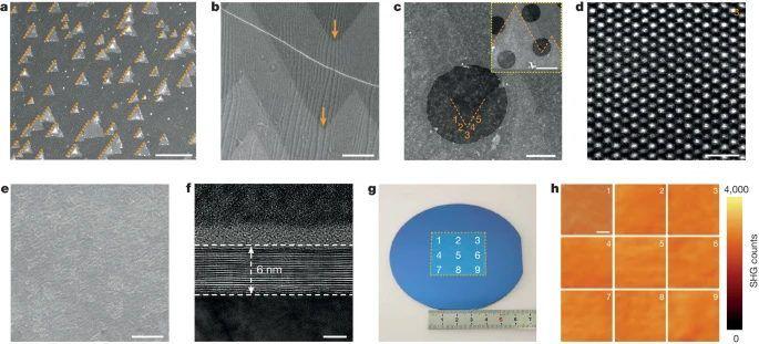 中科院物理所，今日重磅Nature！ - 知乎