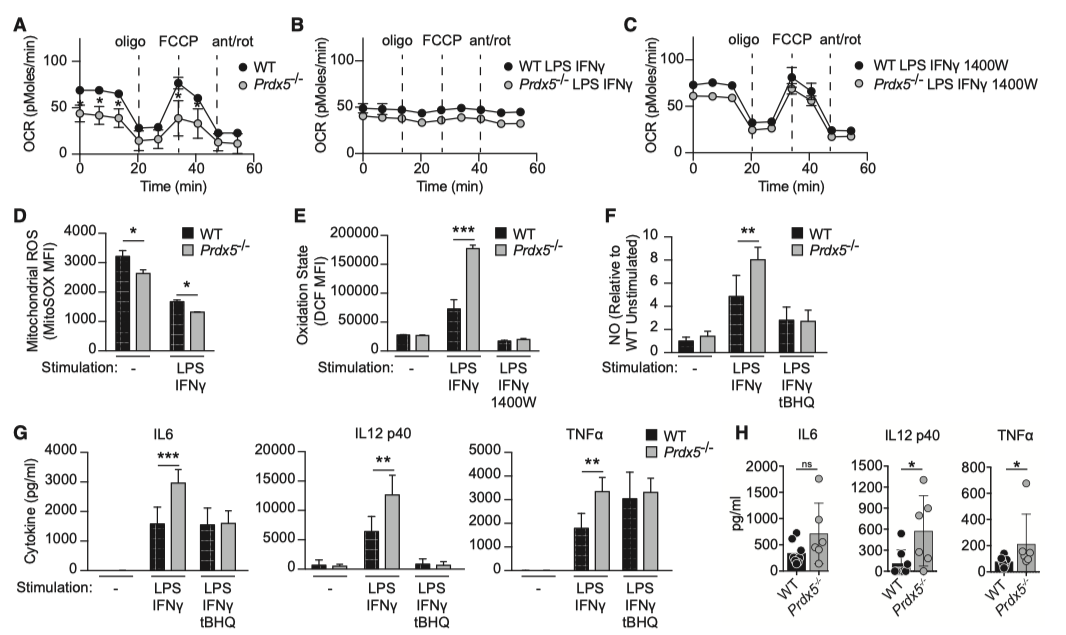 Cell Reports丨一氧化氮在吞噬细胞中参与由Prdx5介导的抗炎反馈回路 - 知乎