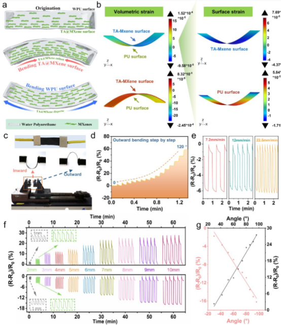 《Adv. Mat.》: 基于PU-TA@MXene Janus结构的柔性传感器 - 知乎