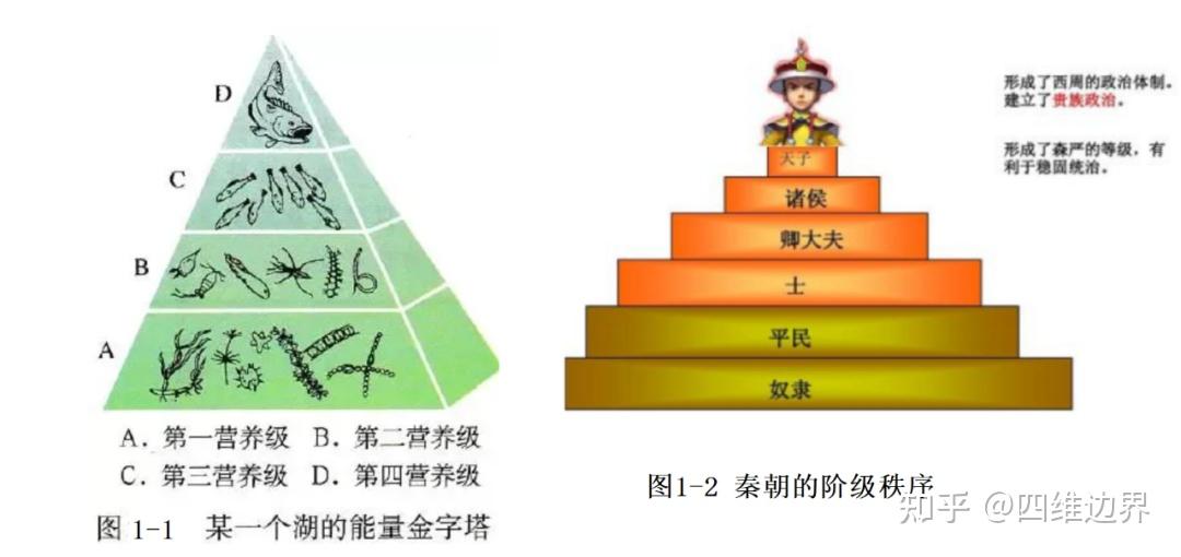 社会学思维导图（期末必看） 知乎