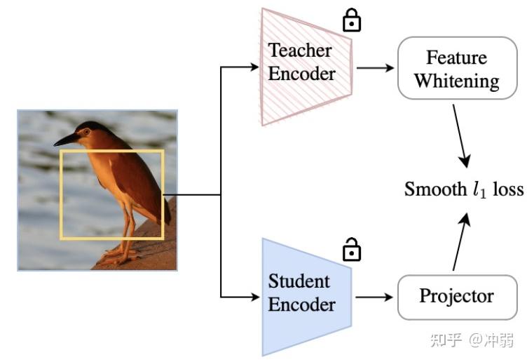 一篇文章搞懂EVA - 知乎