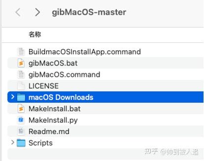 利用gibMacOS工具制作原版dmg安装镜像教程 - 知乎
