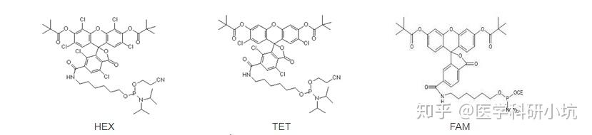 引物的设计及修饰最全教程 - 知乎