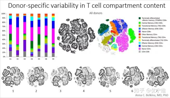 FlowJo之 t-SNE：流式数据高质量输出的“小机灵鬼儿” - 知乎