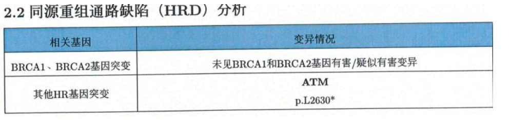 卵巢癌基因检测之HRD检测 - 知乎