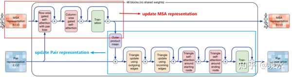 AlphaFold2详解（八）：Evoformer的三角关系 - 知乎