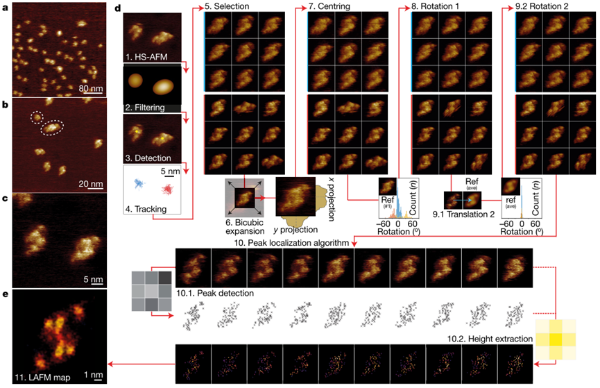 原位系列之原位AFM篇 - 知乎