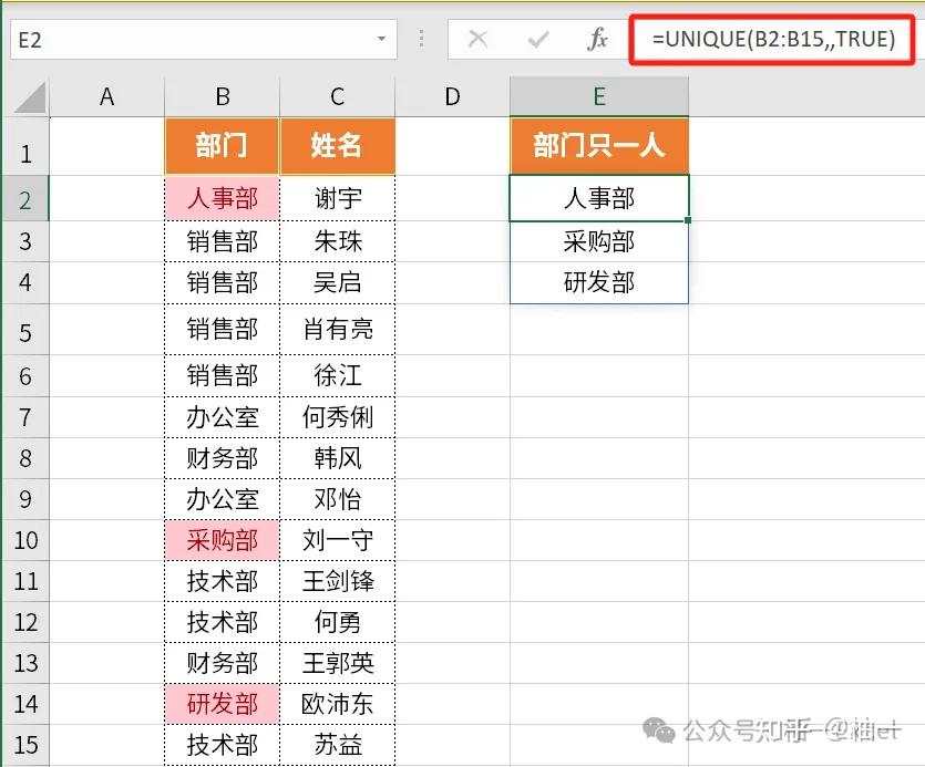 一键提取唯一值：unique函数的高效用法 - 知乎