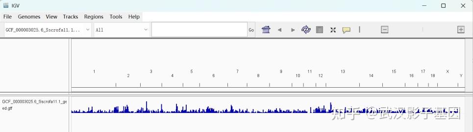 IGV使用教程（图文） - 知乎