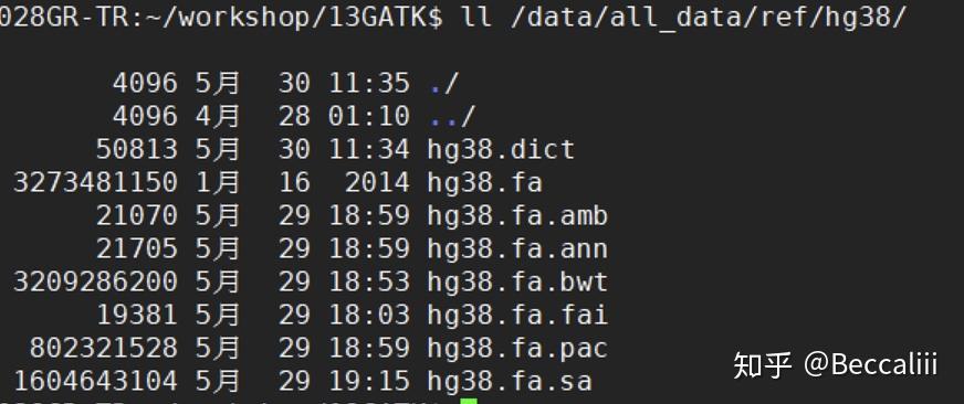 GATK4 流程分析- 从fastq到vcf - 知乎