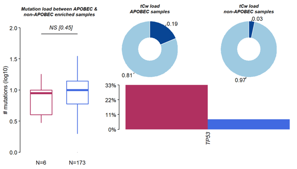 一文学会R包 maftools 简介使用 - 知乎