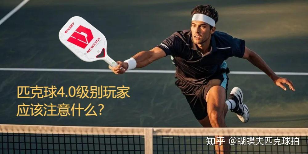 匹克球入门到业余玩家，阶段技术标准与进阶重点! - 知乎