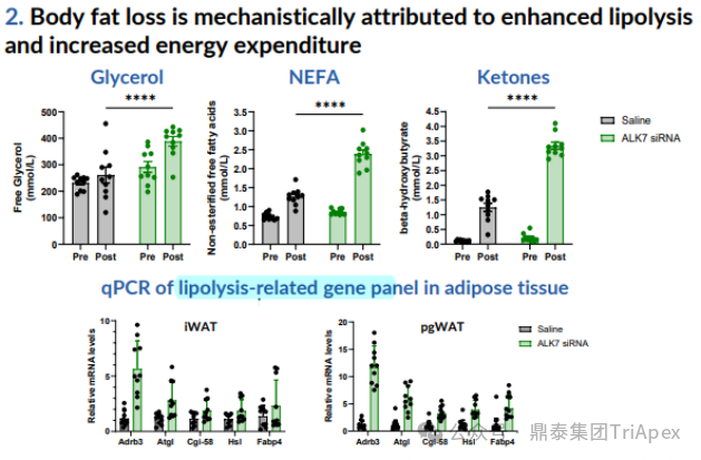 INHBE GalNAc-siRNA，ALK7 Lipid-siRNA最新进展 - 知乎
