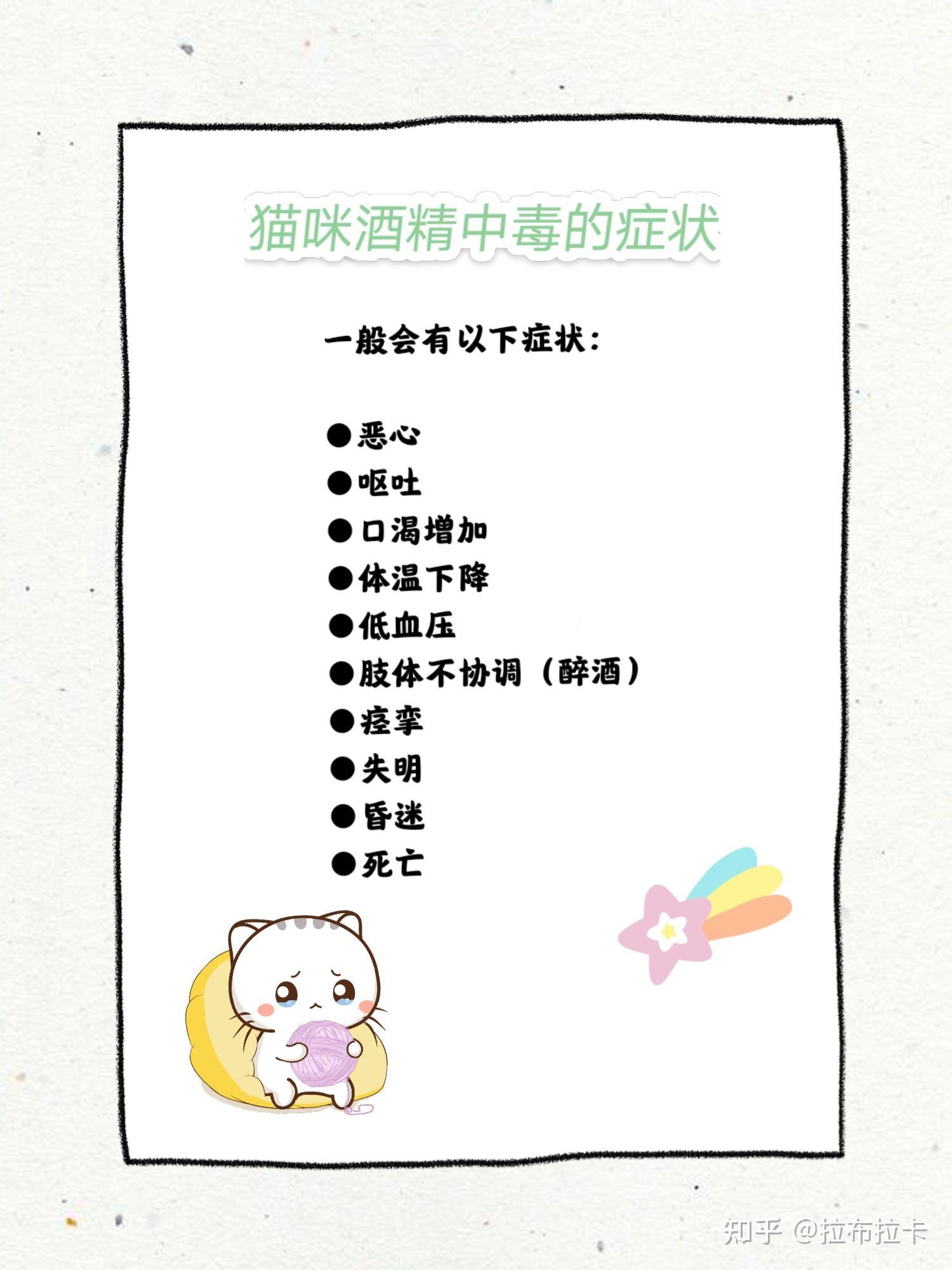 猫咪可以喝酒么？猫咪喝酒了怎么办？ 知乎