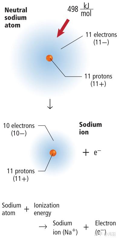 Ion Formation 离子的形成 (十五) - 知乎