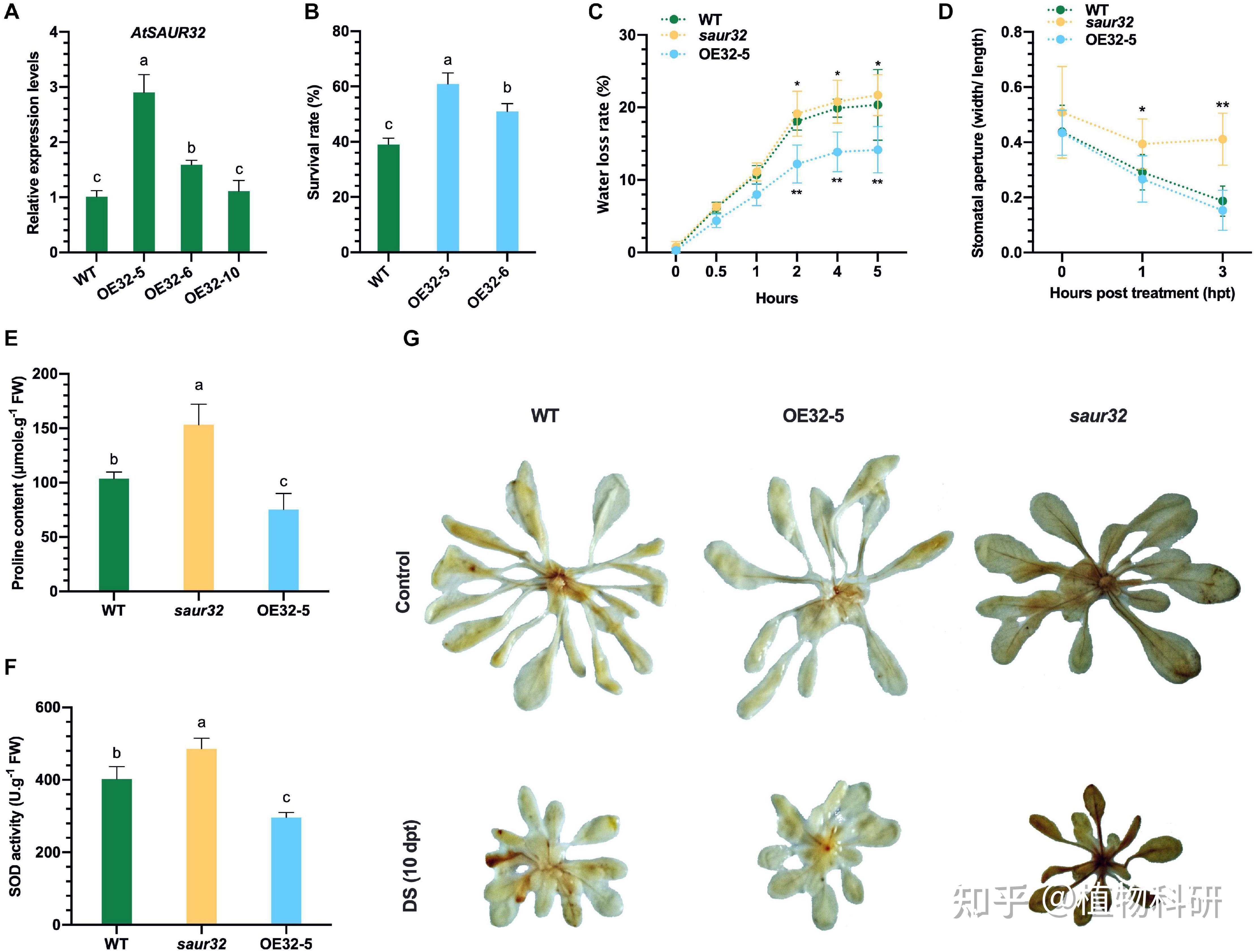 FIPS|浙江大学研究团队利用Y2H等技术揭示了 拟南芥 SMALL AUXIN UP RNA32 蛋白调节 ABA 介导的干旱胁迫反应 - 知乎