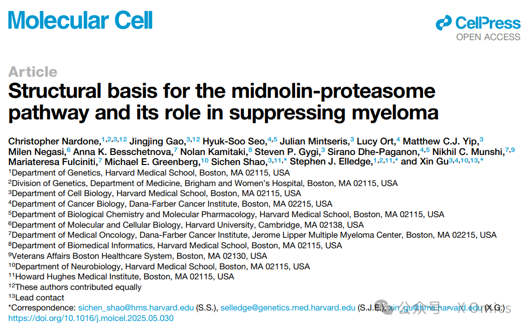哈佛医学院破解抗癌新机制！Midnolin-蛋白酶体通路结构解析，为多发性骨髓瘤治疗带来新靶点 - 知乎
