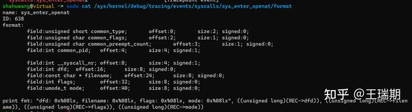 cilium/ebpf追踪tracepoint - 知乎