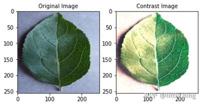 数据增强（Data Augmentation）极易教程 - 知乎