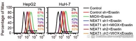 铁死亡常见研究方法及思路 - 知乎
