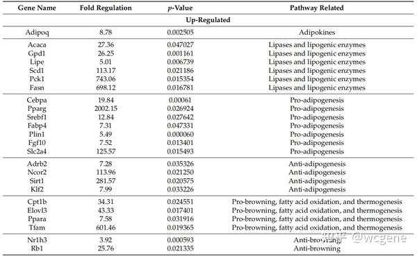 中药提取物刺激细胞做个(PCR Array+WB)发5分杂志 - 知乎