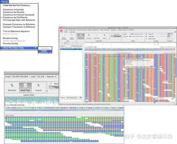 DNA序列分析软件Sequencher的Next-Generation Sequencing功能 - 知乎