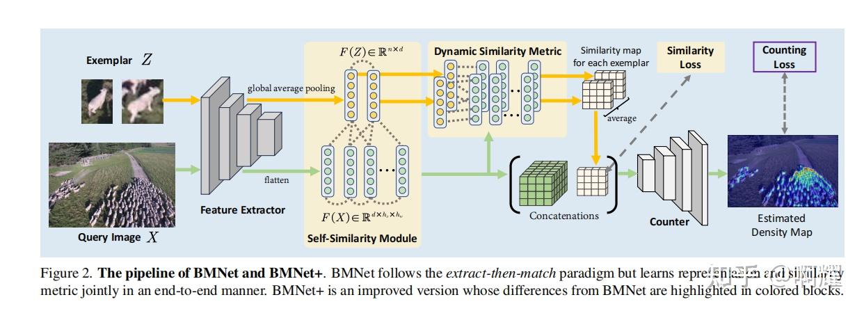 Represent, Compare, and Learn: A Similarity-Aware Framework for Class-Agnostic Counting - 知乎